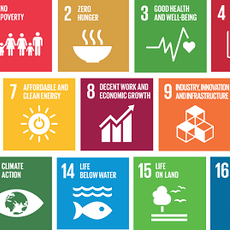 Environmental Standards and Norms for the Sustainability — Stepik